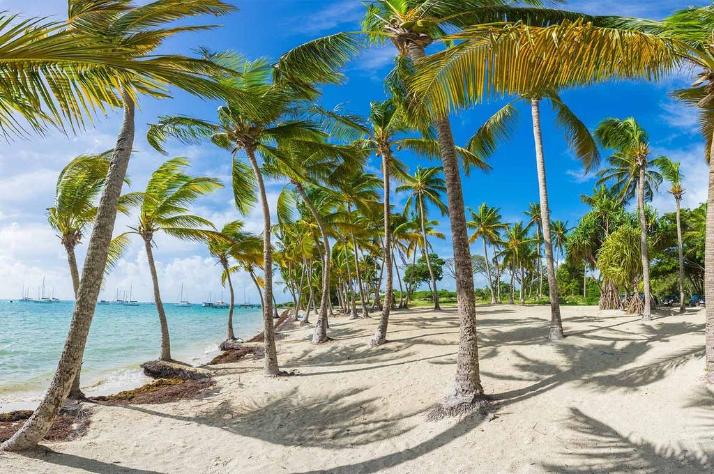 Guadeloupe, trips and tailor-made holidays | viviTravels