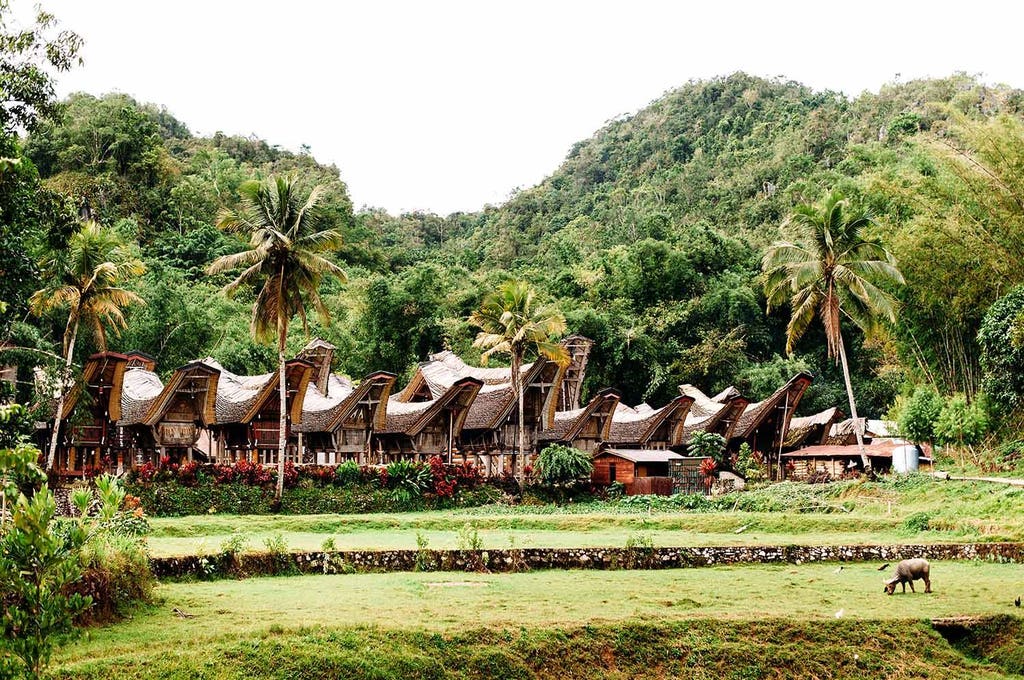 A tour to discover the mystical rituals of Toraja | viviTravels