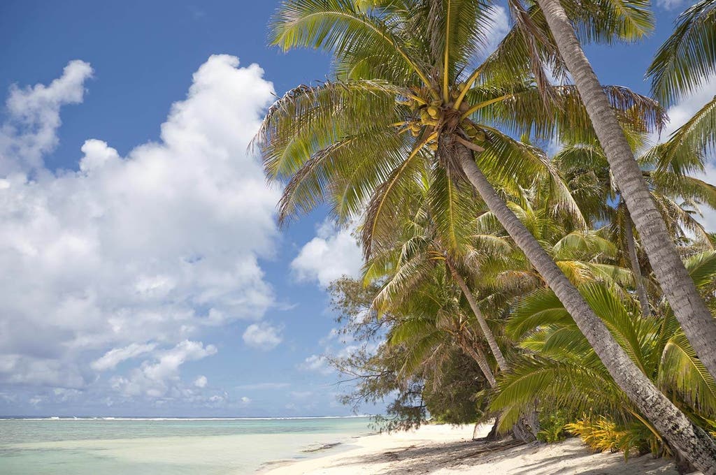 Isole Cook, cosa vedere e quando andare | viviTravels