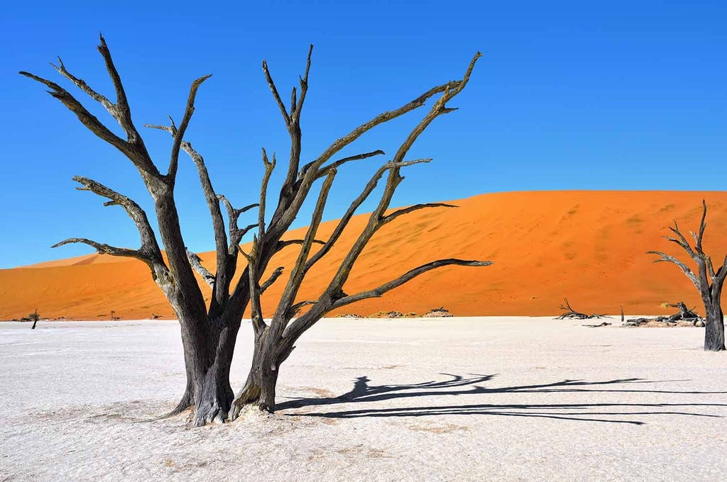 Classic Namibia tour and holiday | viviTravels