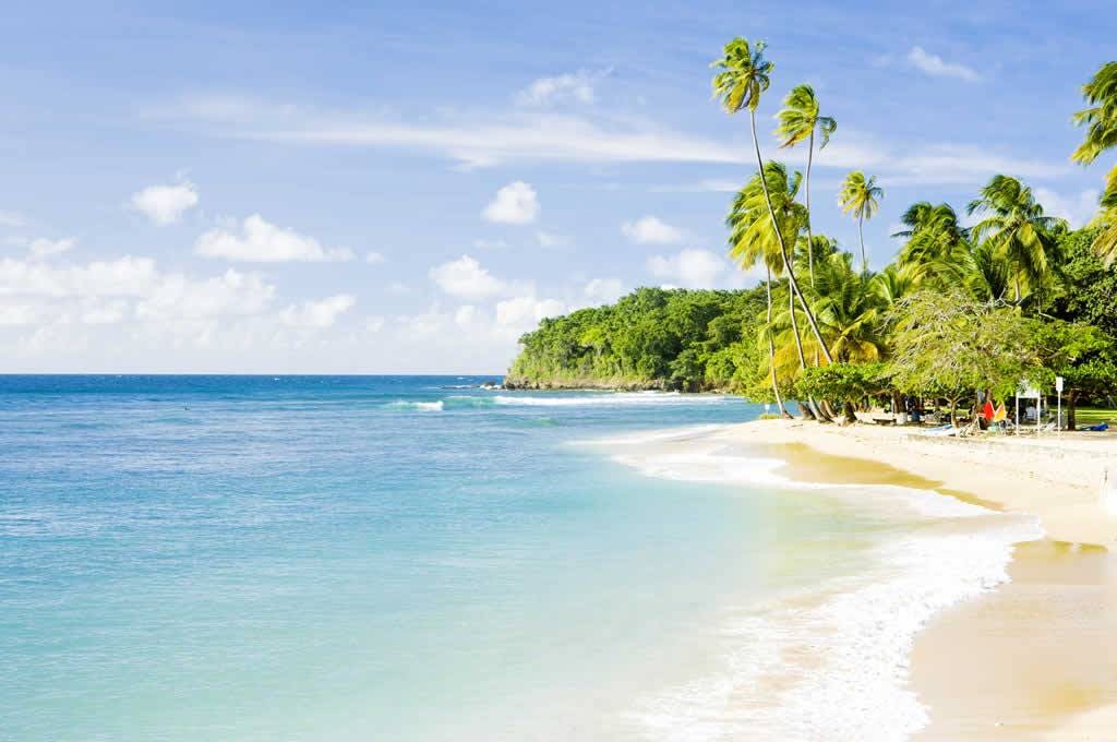 Trinidad and Tobago, trips and tailor-made holidays | viviTravels
