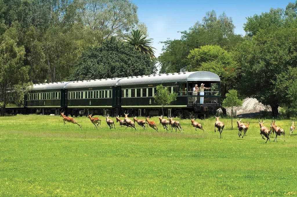 Historical and scenic train trips | viviTravels